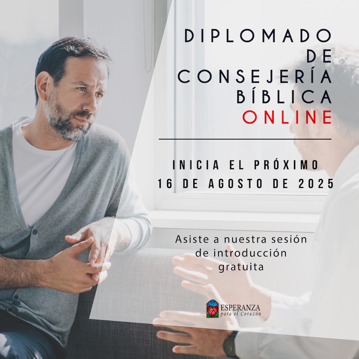 Diplomado de consejeria biblica